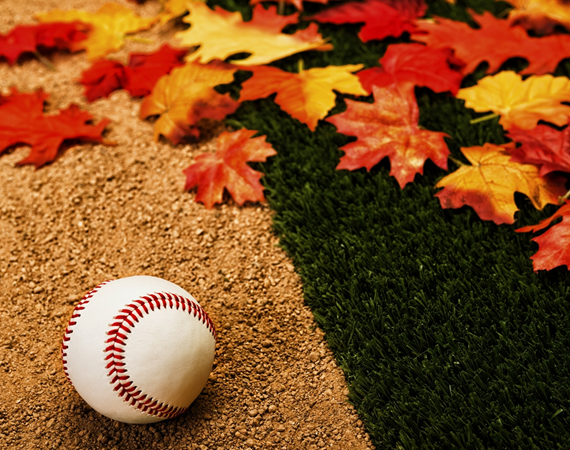 Home [santaanitall.org]